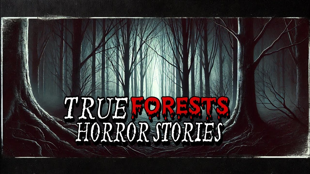 3 Horrifying Stories from Aokigahara Forest in Japan | Horror Stories ...