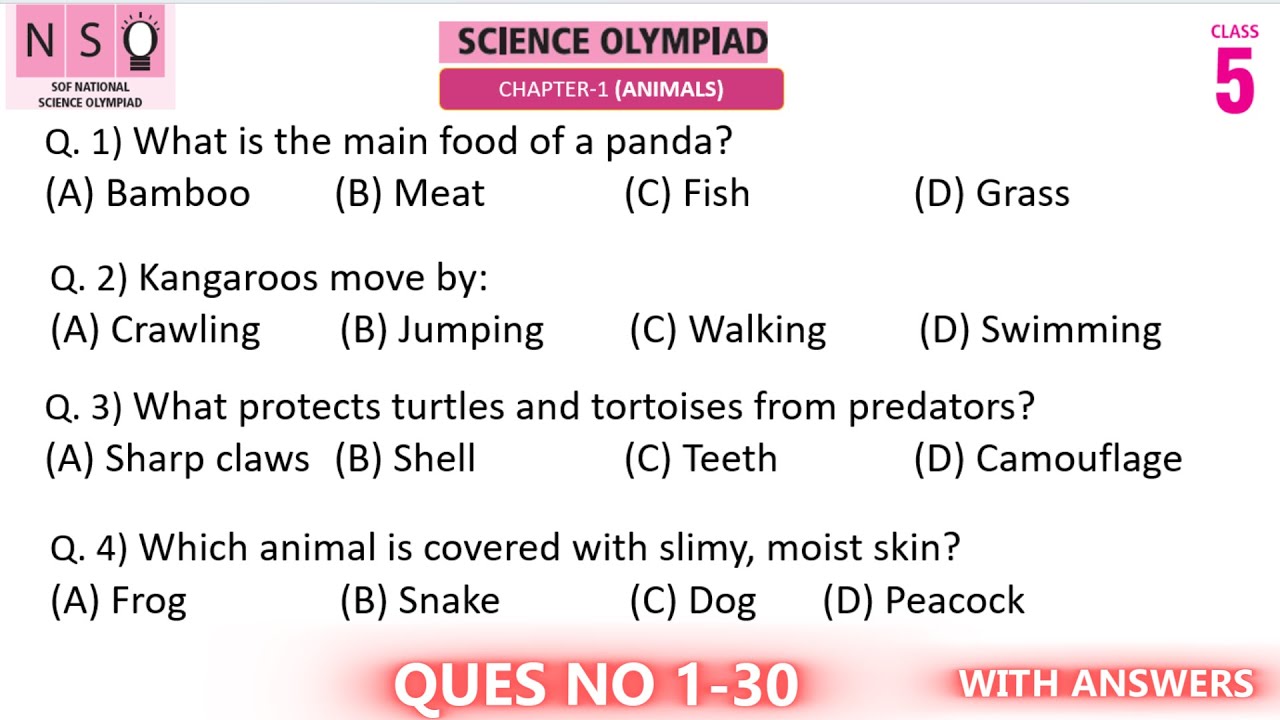 NSO Grade 5 Science Olympiad: Mastering Chapter 1 - Animals ! 🌟📚 ...