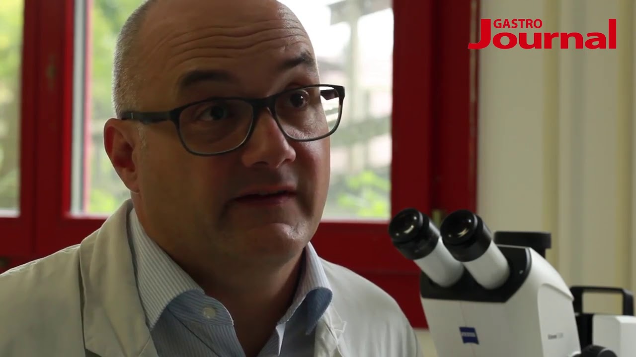 Zucht Insekten Interview Urs Fanger - YouTube