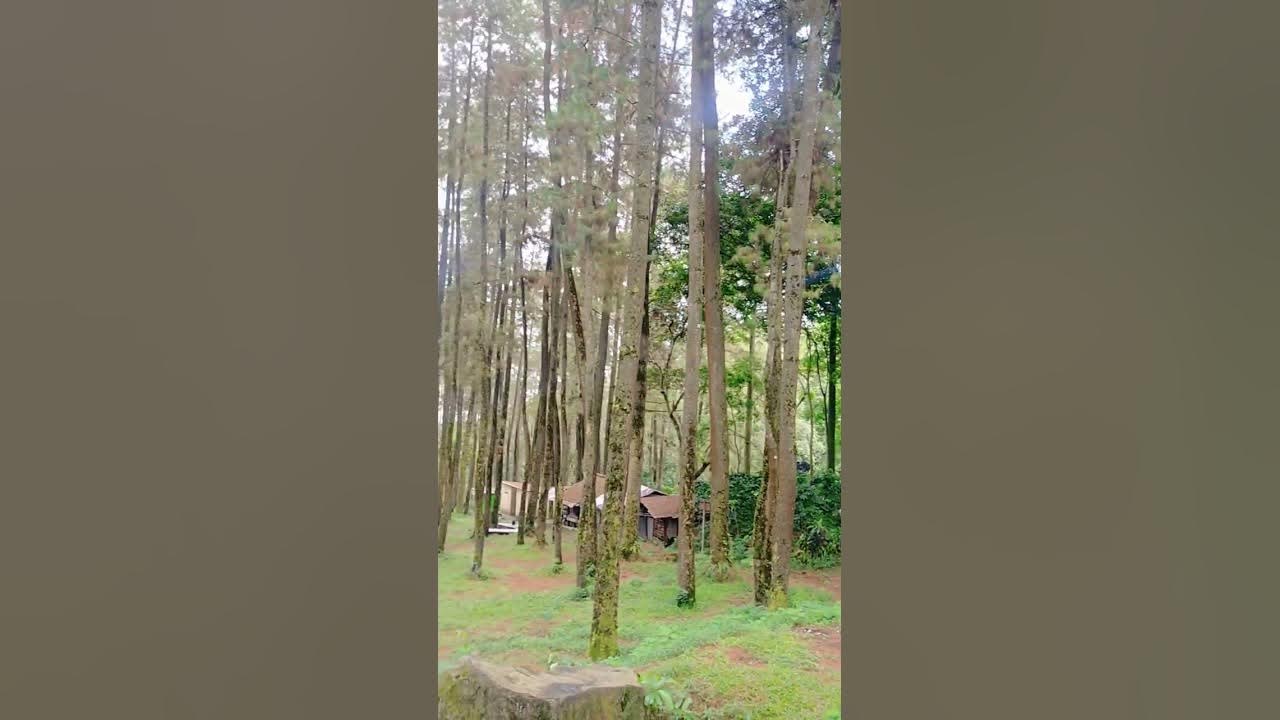 Camping ground - YouTube