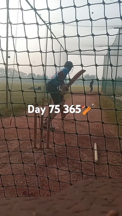 Day 75 365 🏏 - YouTube