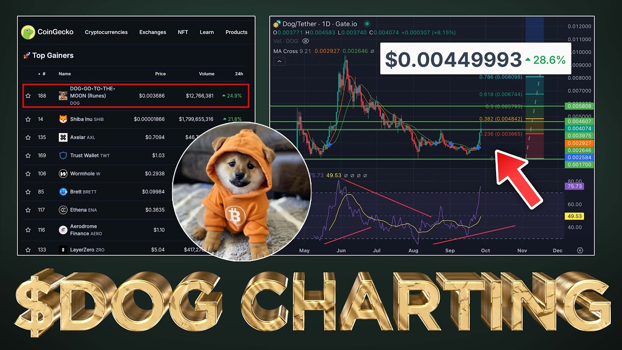 $DOG reaches $450M Market Cap 💥 What's Next? - YouTube