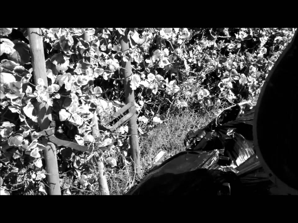 J-Kwon " TIPSY " (Giving Back to the Community) Visual Remix - YouTube