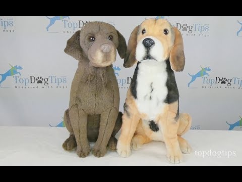 Review of Petsies Handmade Stuffed Animals [Complete Guide]