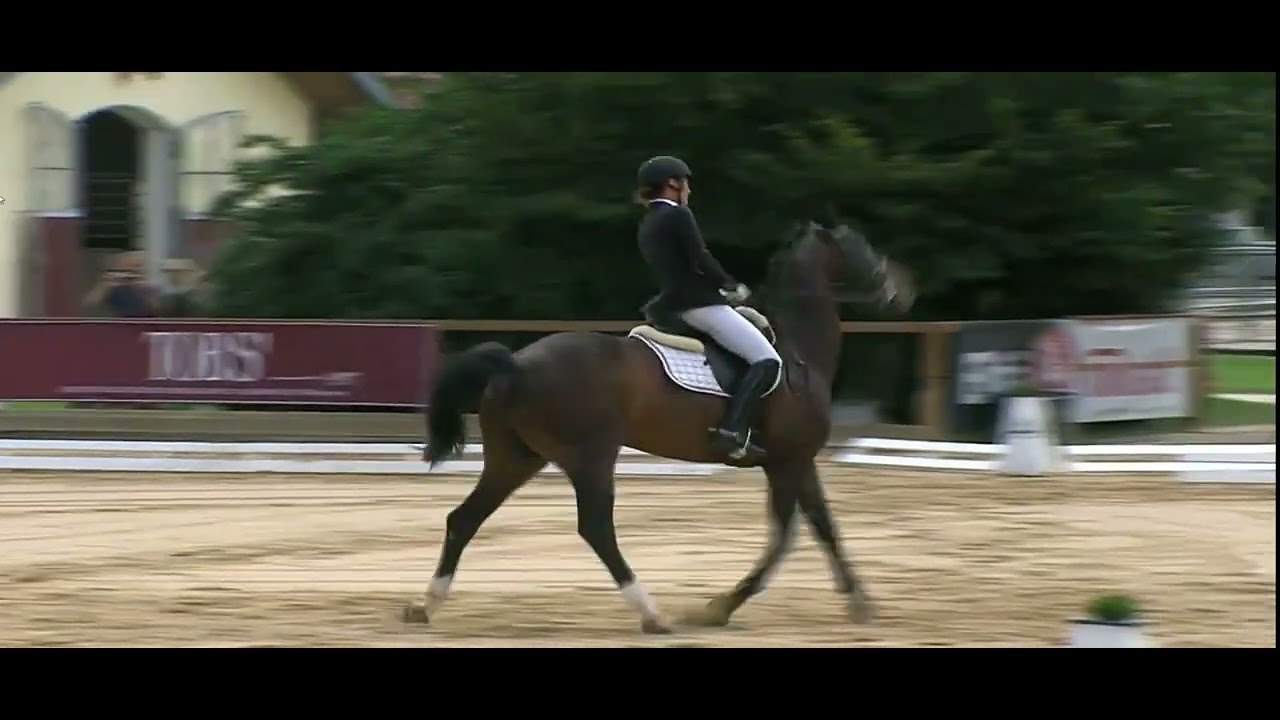 Nadine Meyer & Cantos 22 (Candelero X Amantus) - Dressage Competition ...