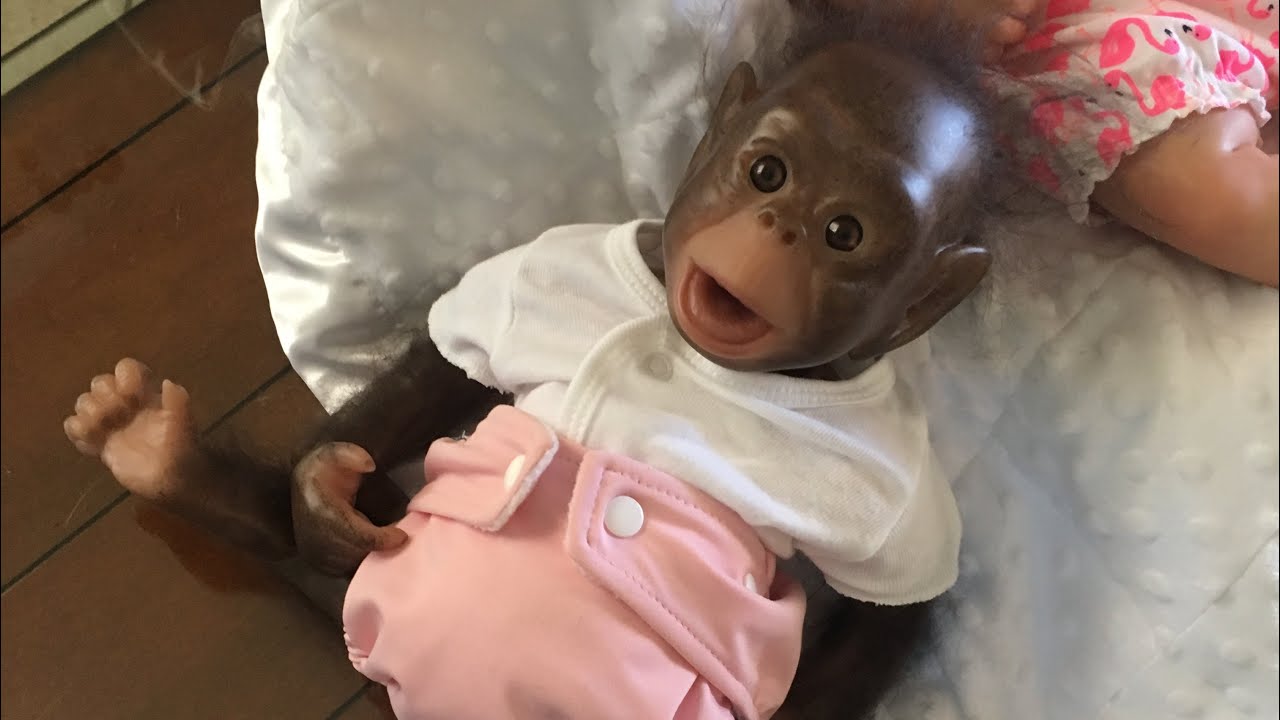 Current Reborn Baby Doll Collection!! Reborn Baby Name Reveal! - YouTube