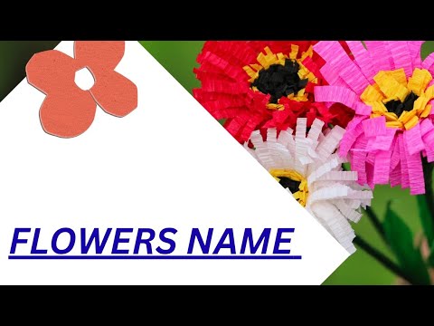 flowers Name | Ukg and Lkg flower Name - YouTube