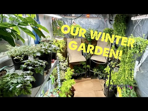 DECEMBER GARDEN TOUR! A Beautiful Green Garden In December! - YouTube