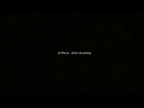 Lil Wayne - All for the feeling (lyrics)
