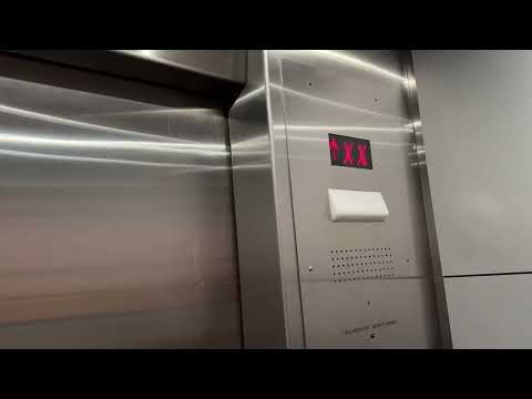 Arkadaşlarla Otel Asansöründe Yolculuk