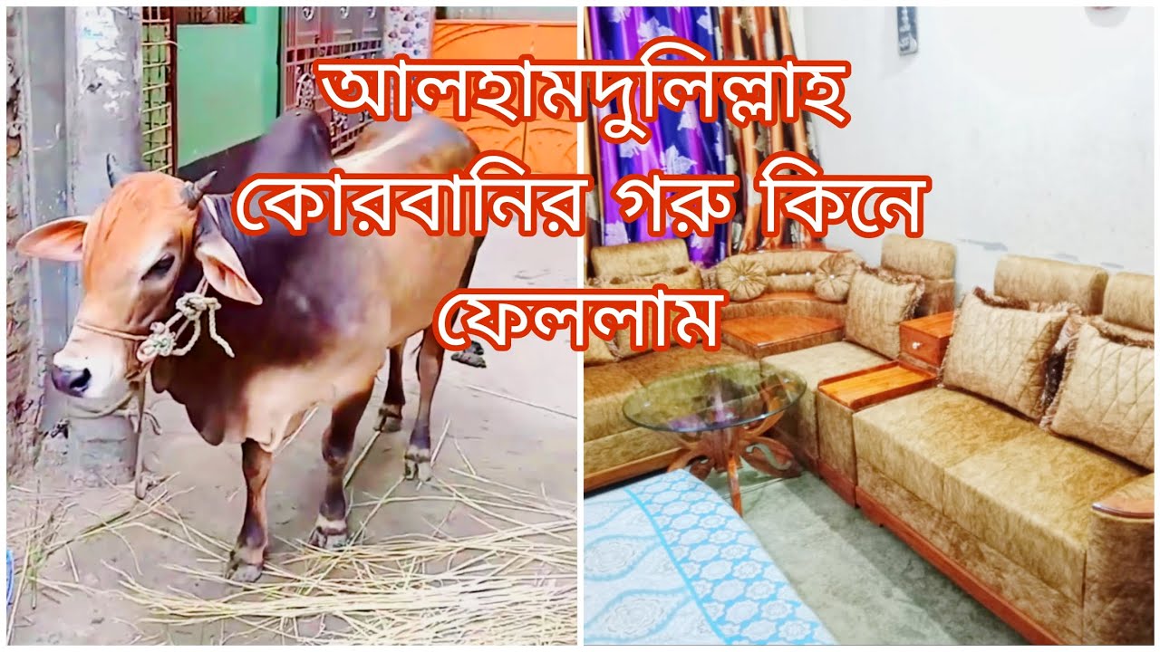 ঘরের জন্য নতুন ফার্নিচার কিনলাম | Vlog 61 | Lovely Akter - YouTube