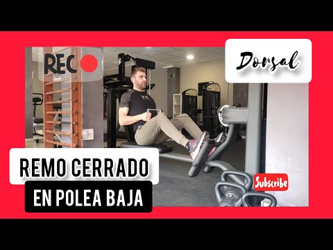 REMO CERRADO EN POLEA BAJA, el mejor ejercicio para entrenar la espalda ...