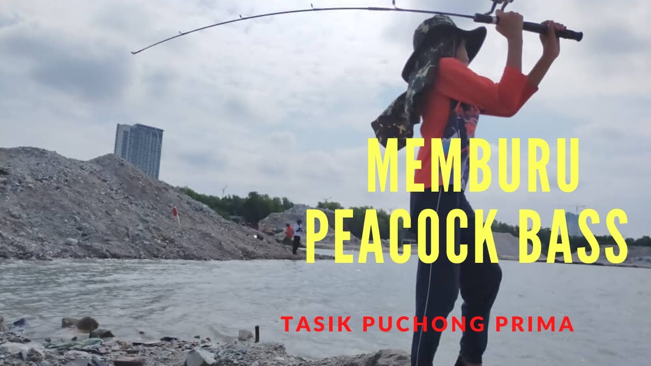 Memburu Peacock Bass Pb Ikan Raja Tasik Puchong Prima Youtube