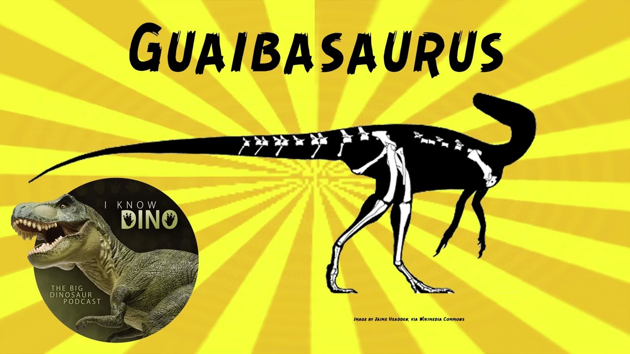 Guaibasaurus: Dinosaur of the Day - YouTube