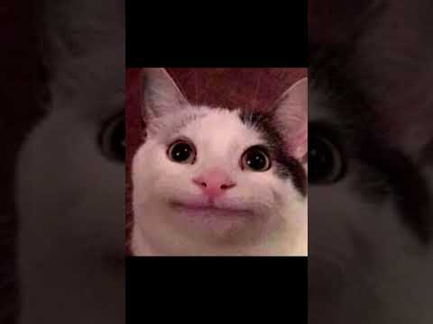 BELUGA REAL NAME 😱 - YouTube