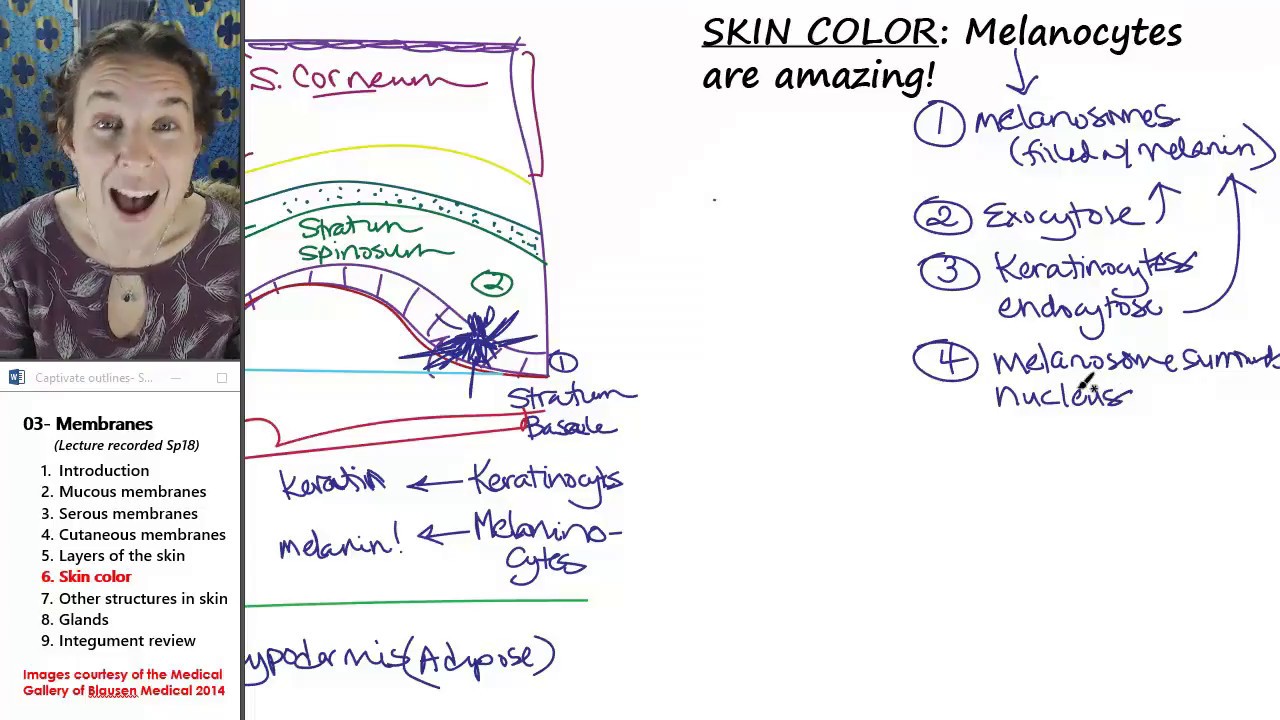 Membranes 6- Skin color - YouTube