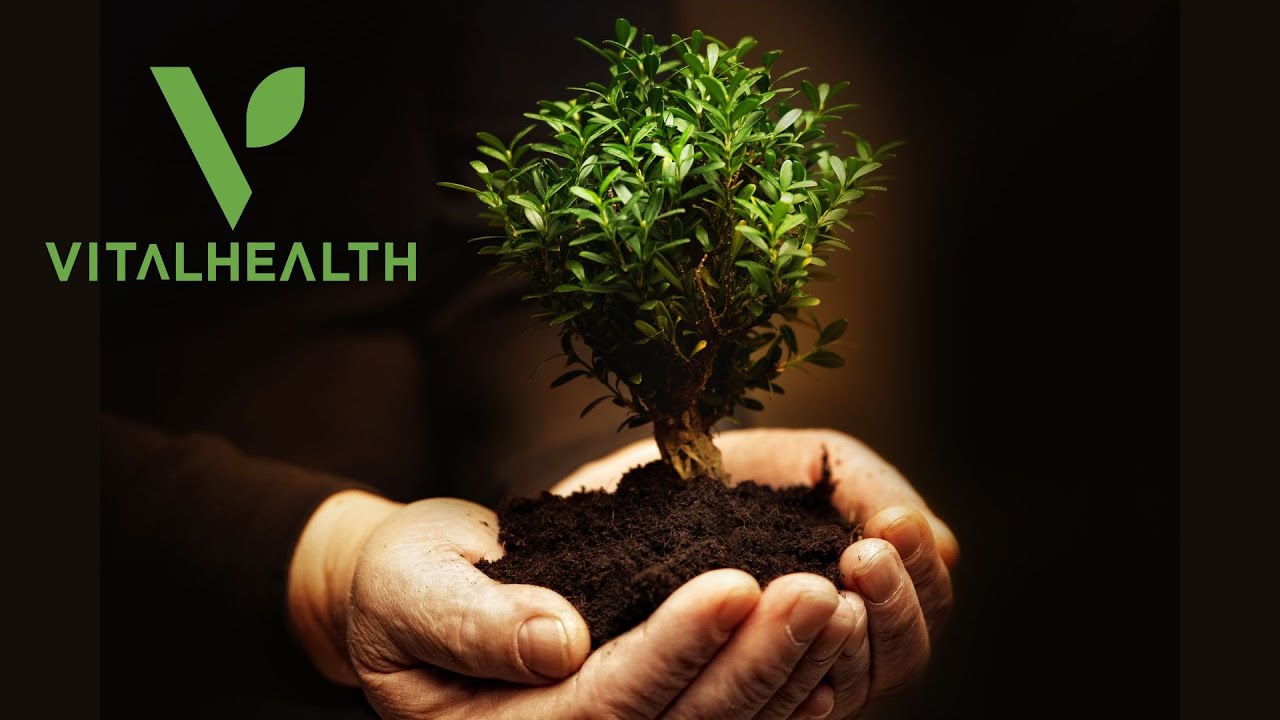 2025 Vital Health Business Overview| Brooke Stokes Nieves| Director of ...