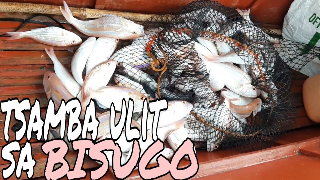 vlog 125 | traditional hand line fishing | tsamba ulit | sa bisugo ...