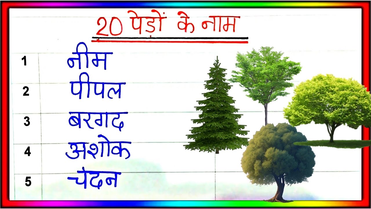 पेड़ों के नाम हिंदी में | Trees Name in Hindi | 20 पेड़ों के नाम | 20 ...