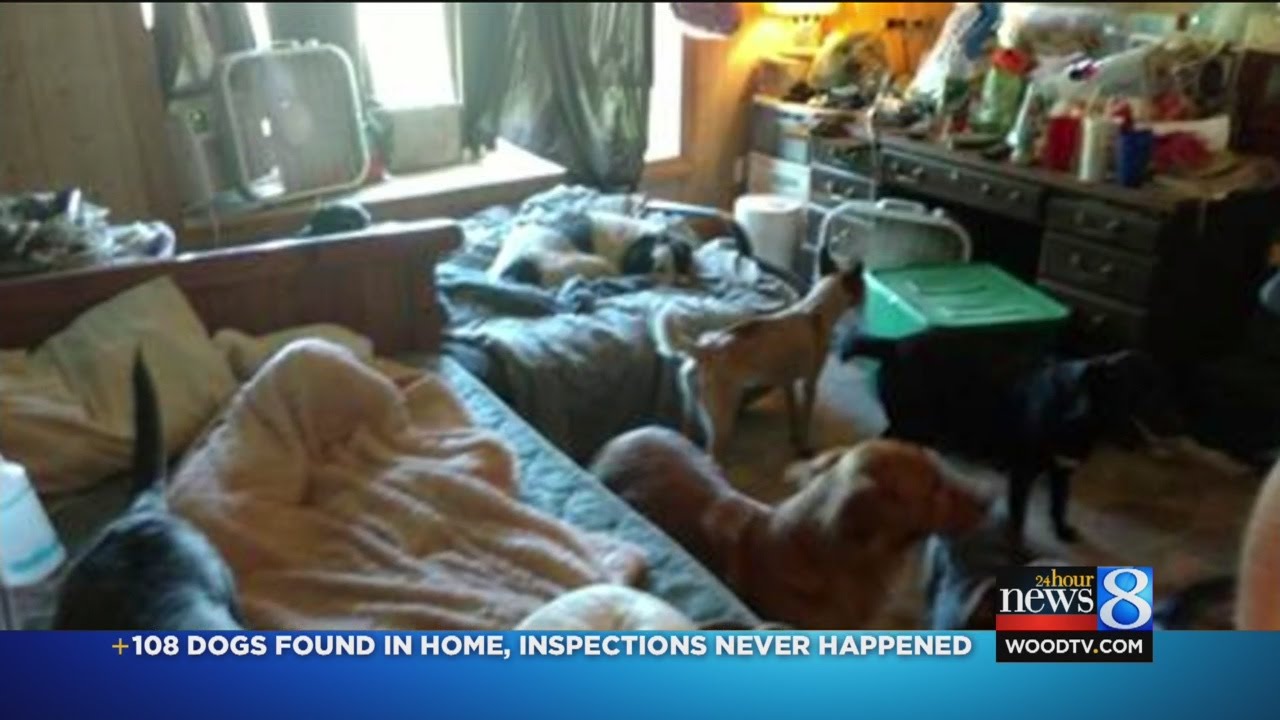 Records: Couple with 108 dogs had agreed to random inspections - YouTube