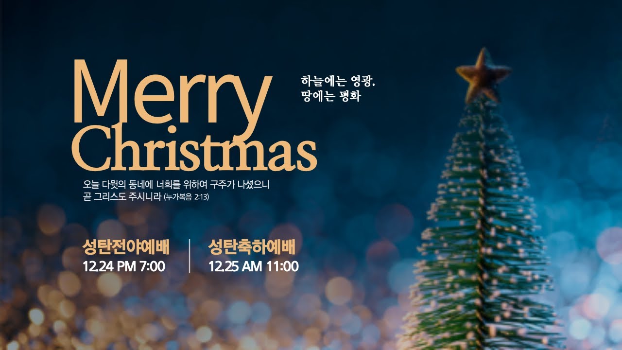 알파와오메가교회 성탄전야예배 성육신 박세라 목사 22 12 24 Youtube