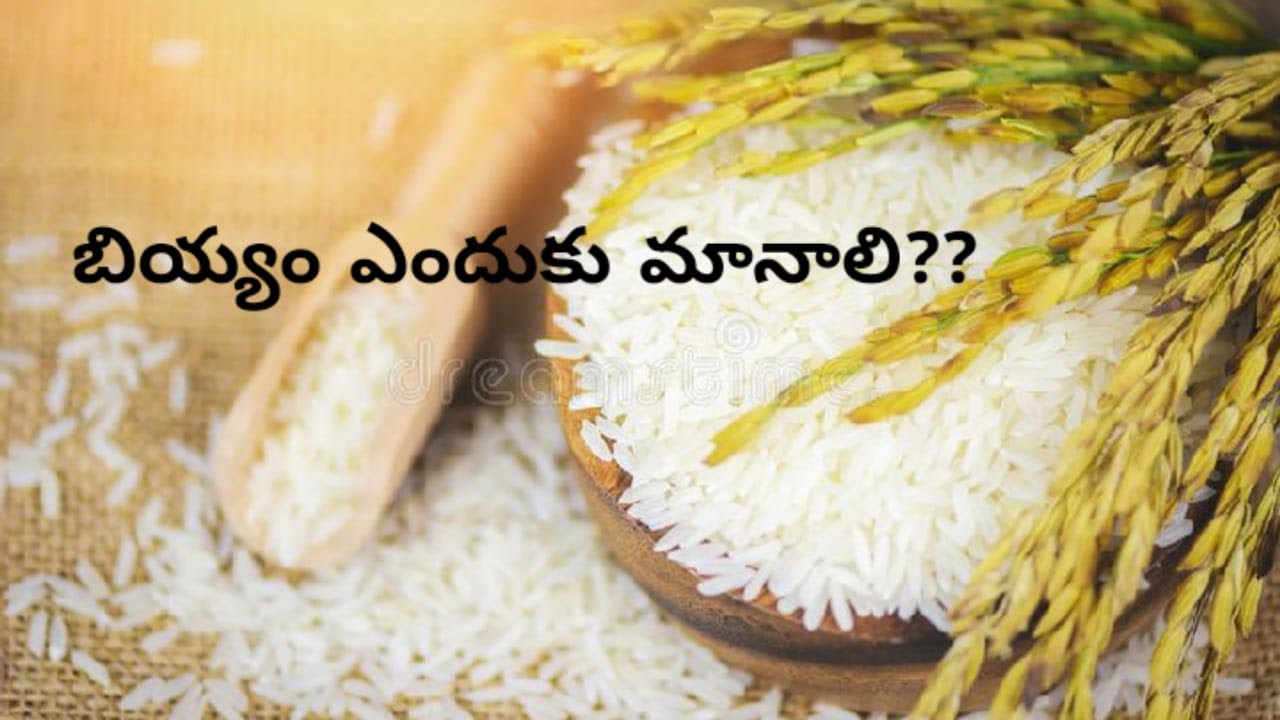 మనం బియ్యం తినడం ఎందుకు మానాలి? Why should we avoid Rice? - YouTube