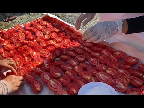 DOMATES KURUSUNU KARARMADAN❌KÜFLENMEDEN❌NASIL YAPTIM? DOMATES NASIL KURUTULUR😍DOMATES KURUSU