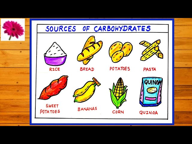 Carbohydrates Pictures Drawing Easy With Names