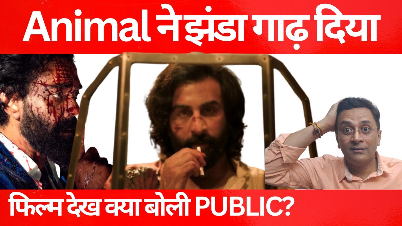 Animal Movie Public Review & Reaction| Animal Movie Public Response ...