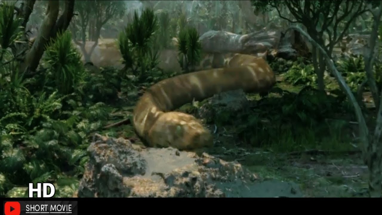 Anaconda vs Giant Spider Movie. Scene - Movie Clip | Shrotmovie - YouTube
