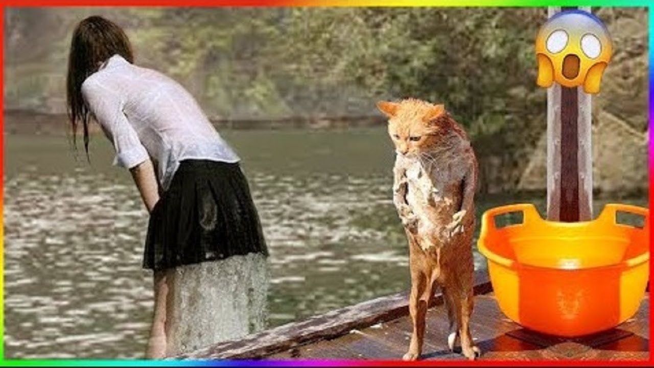 Random Funny Videos |Try Not To Laugh Compilation | Cute People And ...