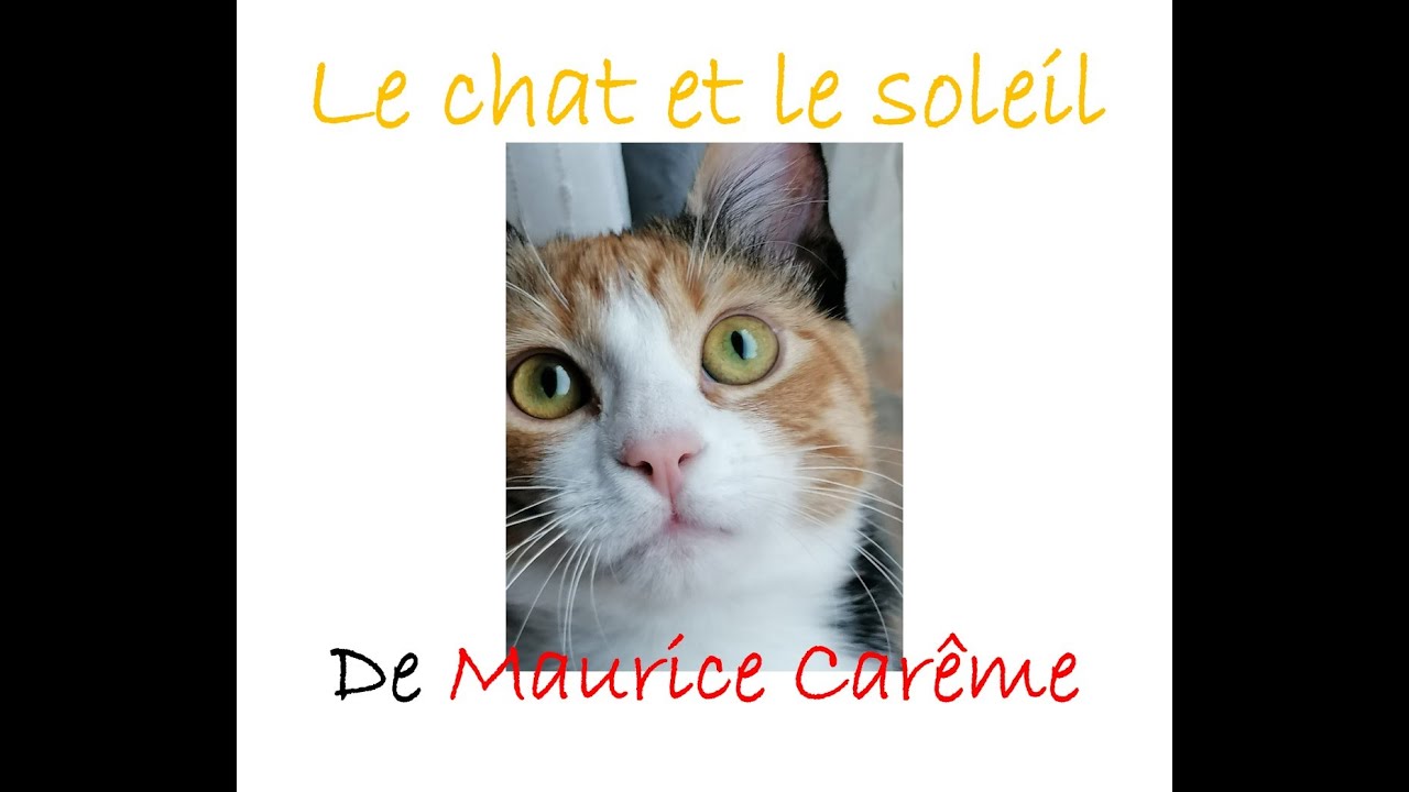 Le chat et le soleil de Maurice Carême - YouTube