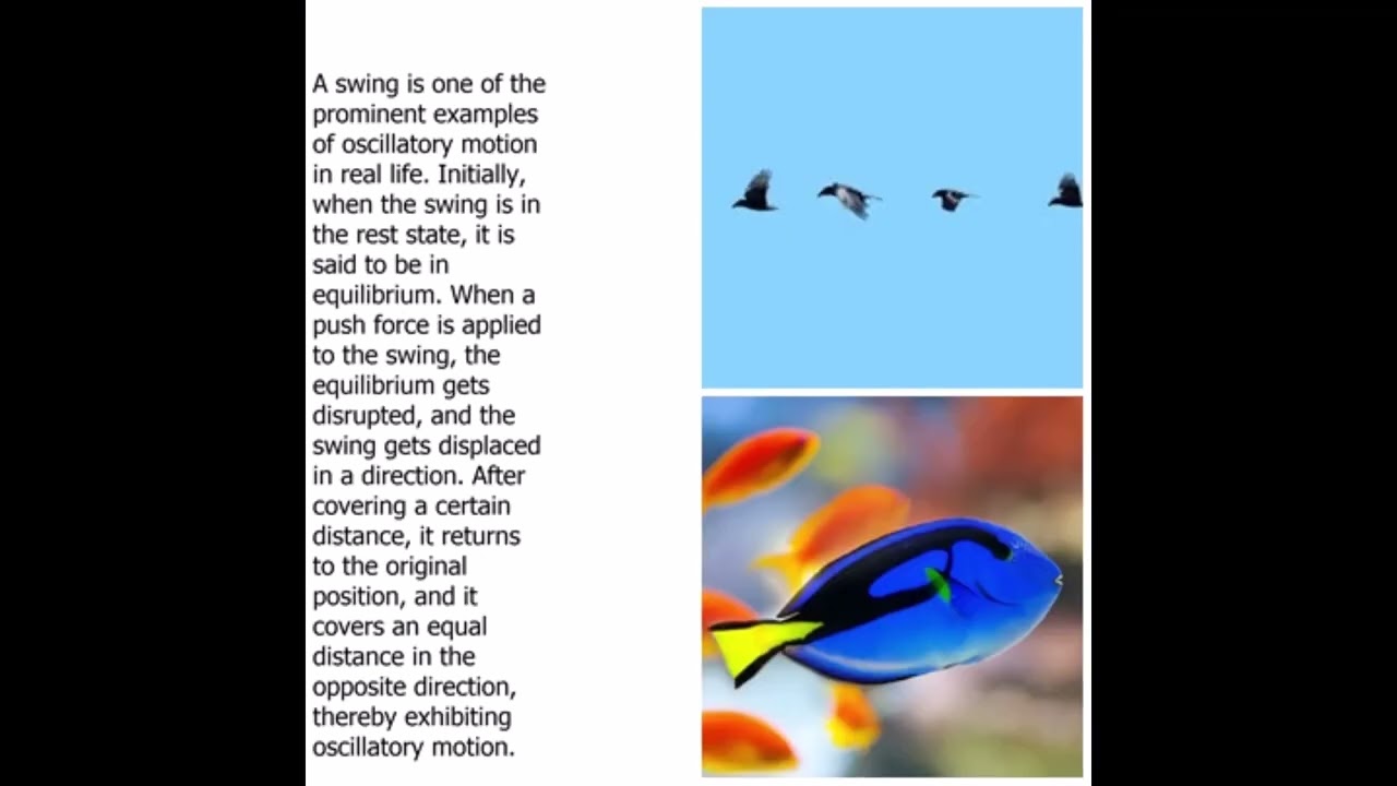 Oscillatory Motion Examples In Real Life YouTube oscillatory-motion-examples-in-real-life-youtube