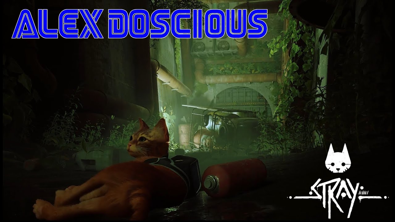 Stray - Sudden cart ride - YouTube