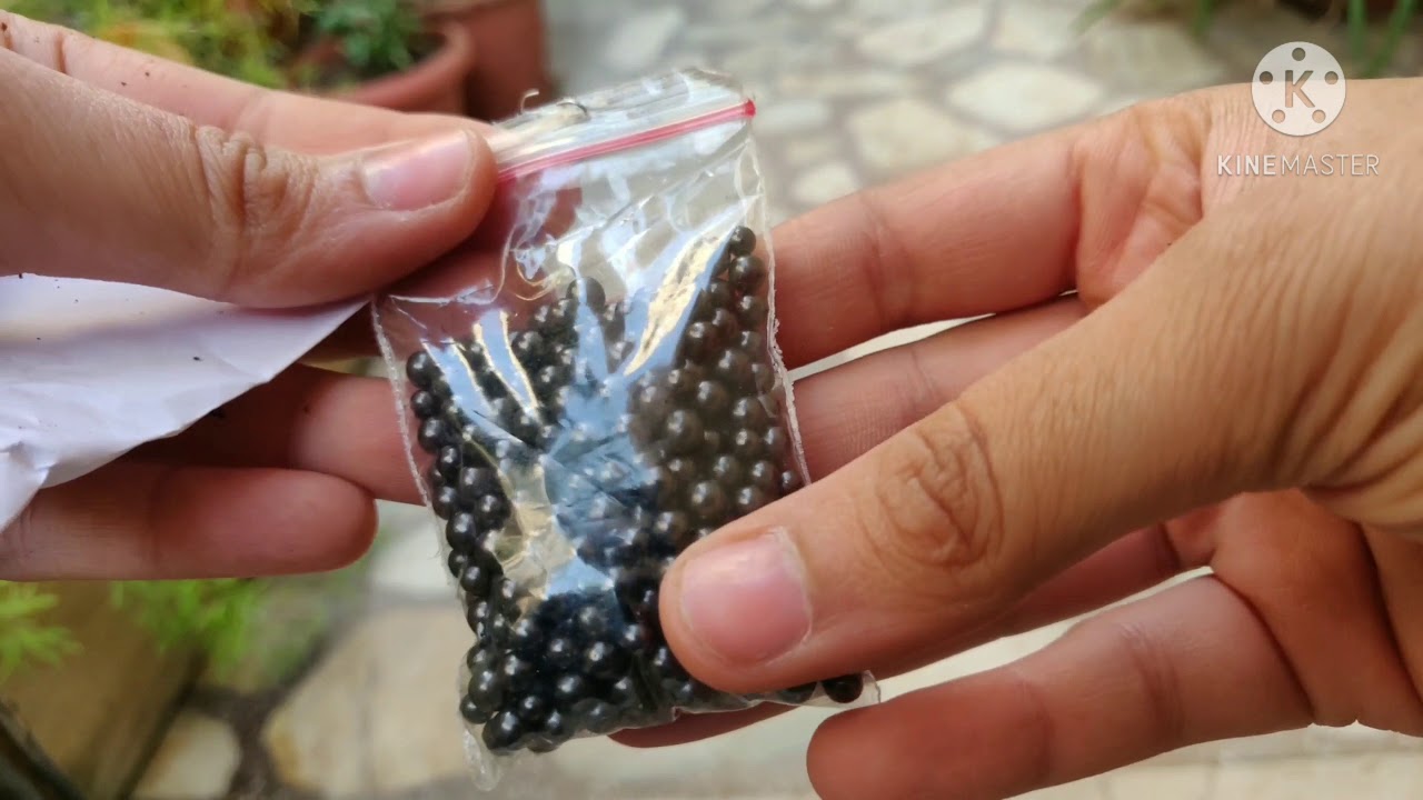 The affordable organic store unboxing/review. - YouTube