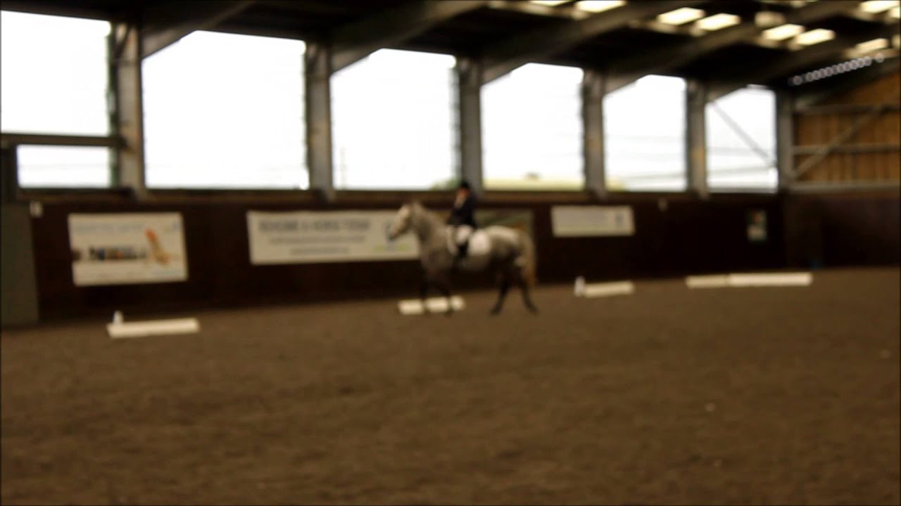 Prelim 12 Dressage - YouTube