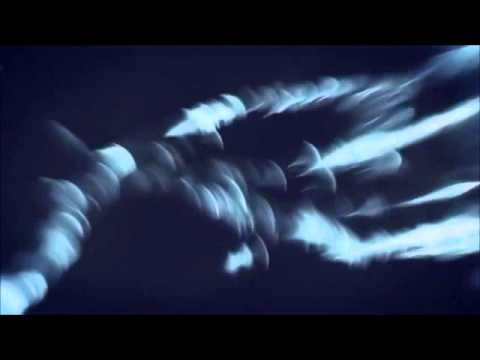 Otep - Apex Predator (subtitulos español) - YouTube Music