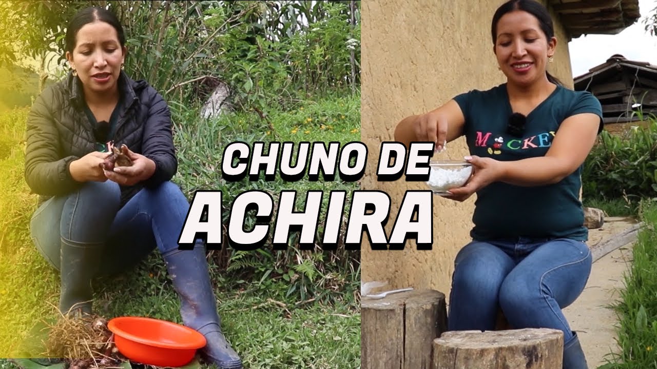 Como sacar Almidón de Achira o Chuno fácil y sencillo - YouTube