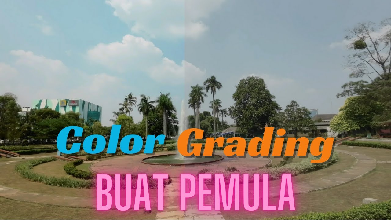 Belajar Color Grading buat Pemula sambil jalan-jalan di Taman Bunga ...