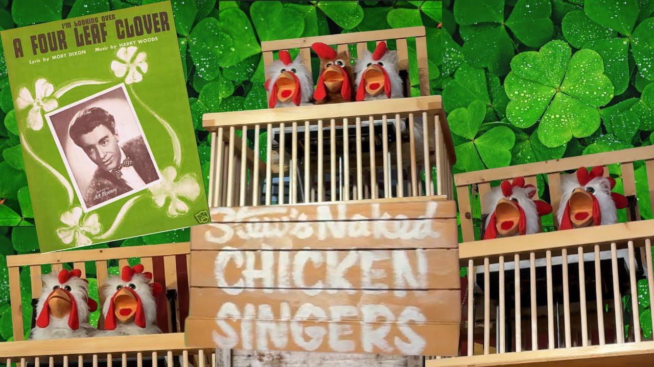 Stew Leonard’s naked chicken singers I’m looking over a four leaf ...