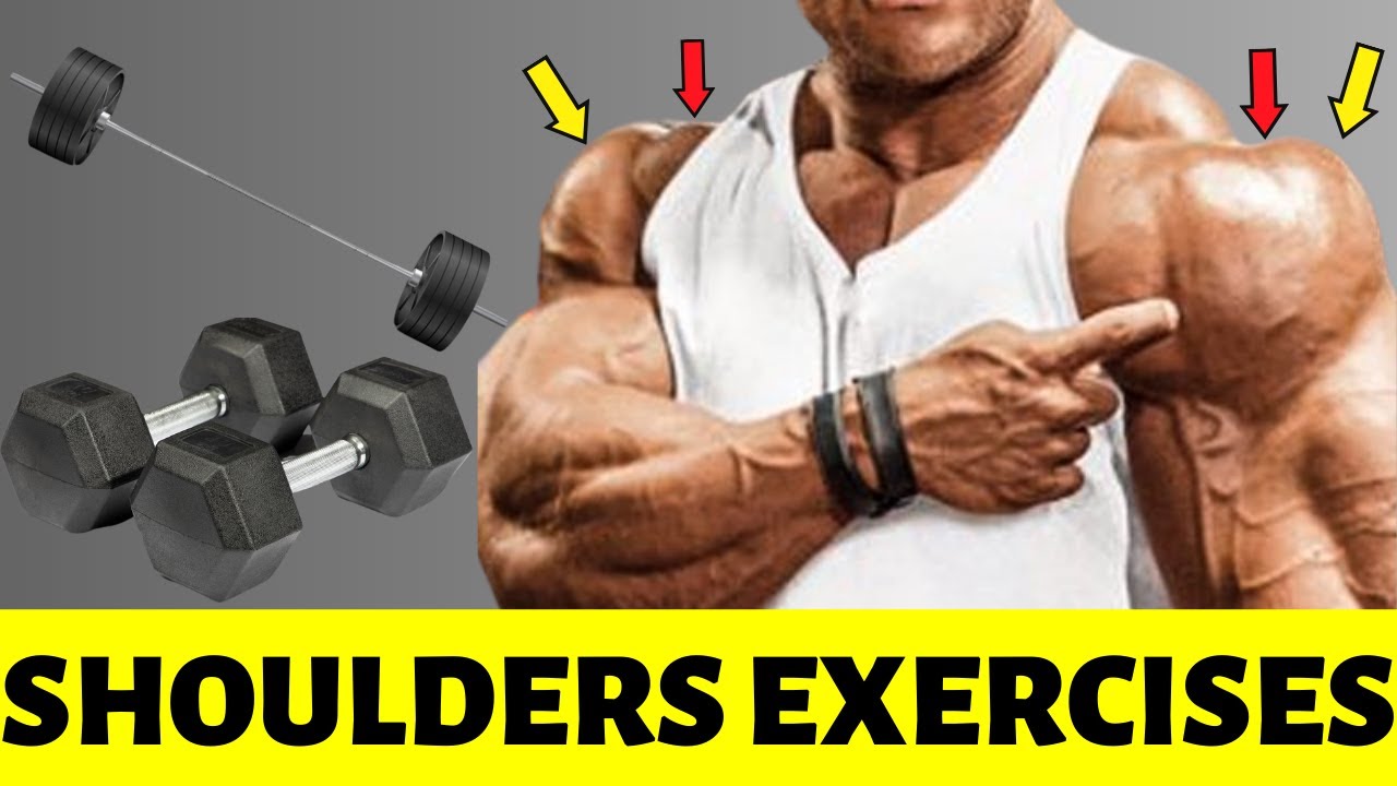 THE TOP QUICK SHOULDER EXERCISES (BARBELL-DUMBBELL ONLY) - YouTube