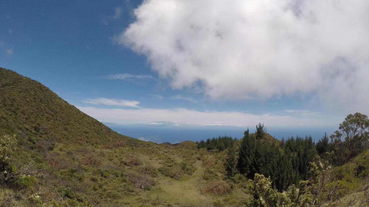 Poli Poli state recreation area created using DJI drone in Maui ...