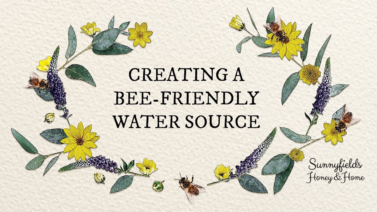 Making an insect water station - YouTube