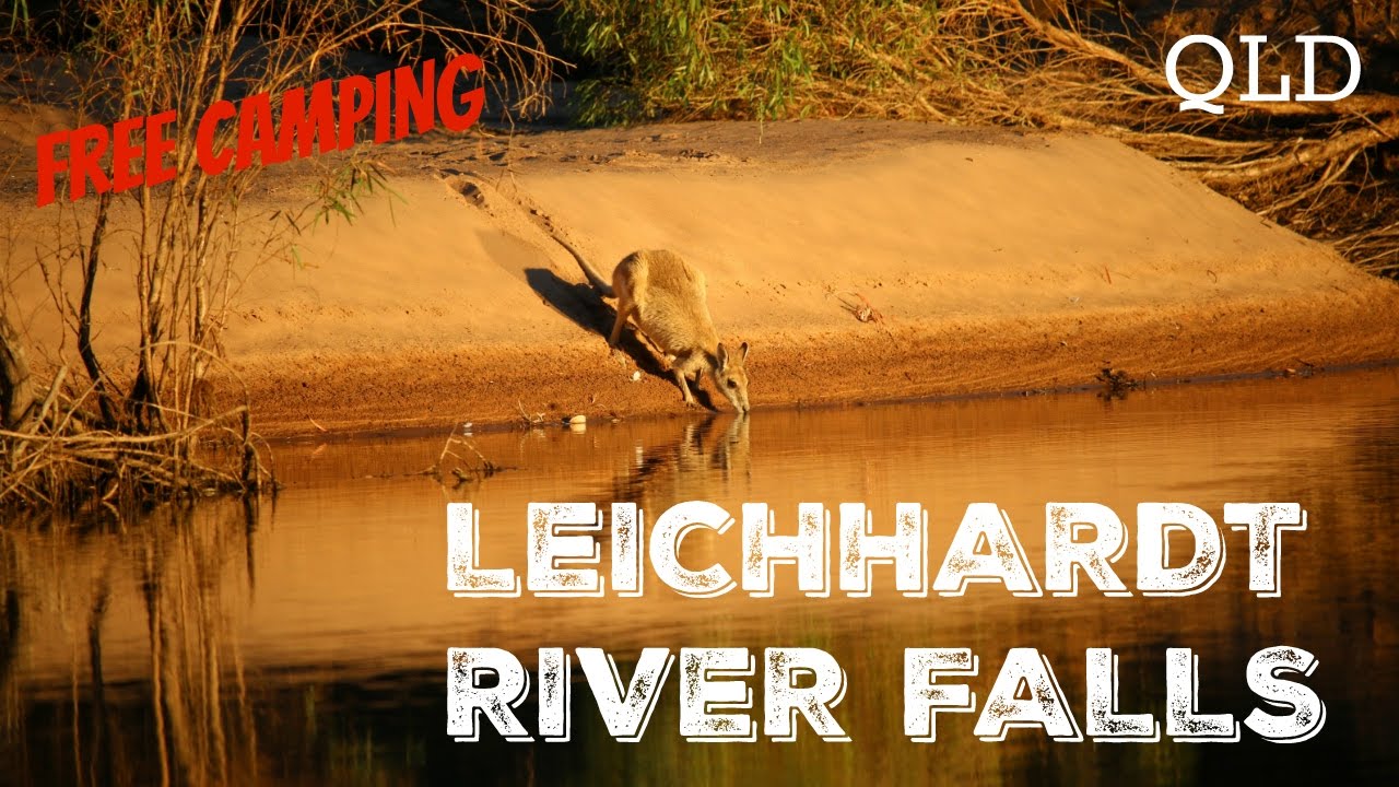 FREE CAMPING!!! Leichhardt River Falls QLD - YouTube