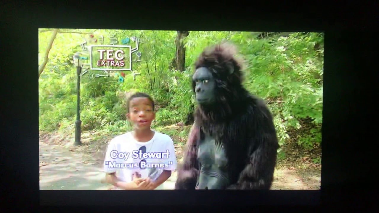 Interview with Paul the gorilla (The Electric Company) - YouTube