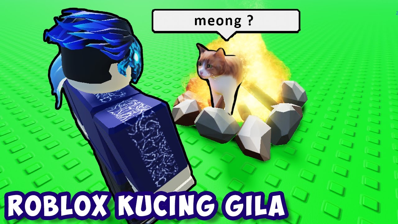 GAME ROBLOX KUCING INI GILA ? - YouTube