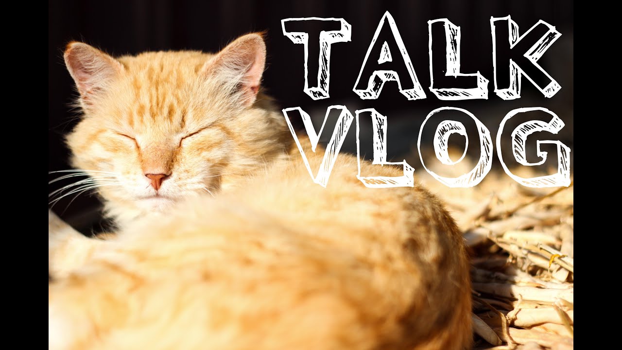 TALK VLOG - YouTube