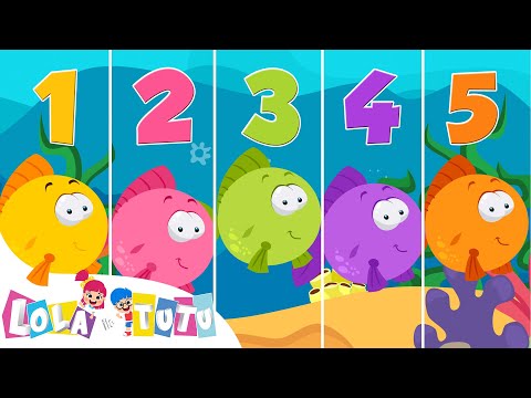 Beş Küçük Balık Şarkısı | Okul Öncesi Eğitici Çizgi Film Çocuk Şarkıları | Lola ile Tutu
