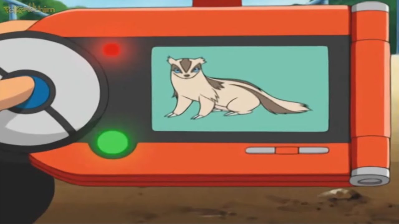 Pokedex #264 Linoone - YouTube