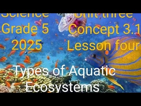unit three - concept 3.1- lesson four ( Types of Aquatic Ecosystems ...